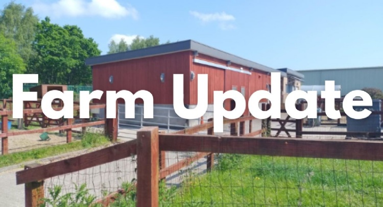 Reddish Vale High School - Friday Farm Update - 7th March 2025
